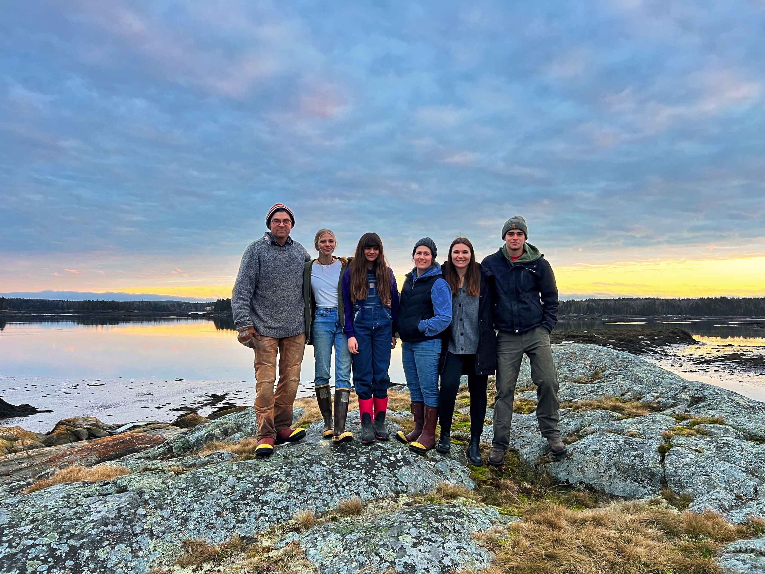 Organic Chicken, Turkey, Pork, and Beef from Tide Mill Organic Farm